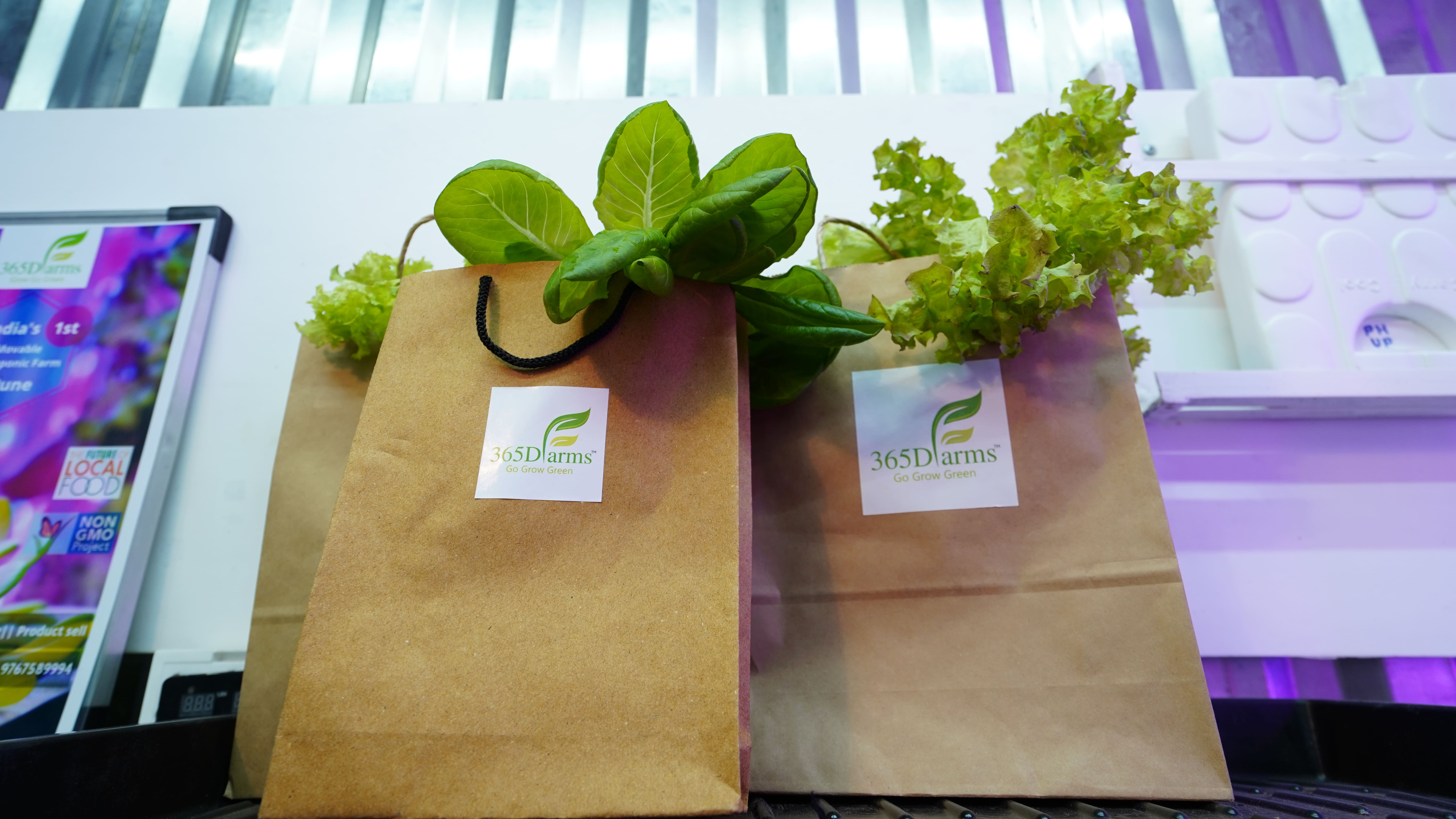 Gallery – 365Dfarms