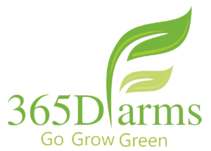 Home - 365Dfarms