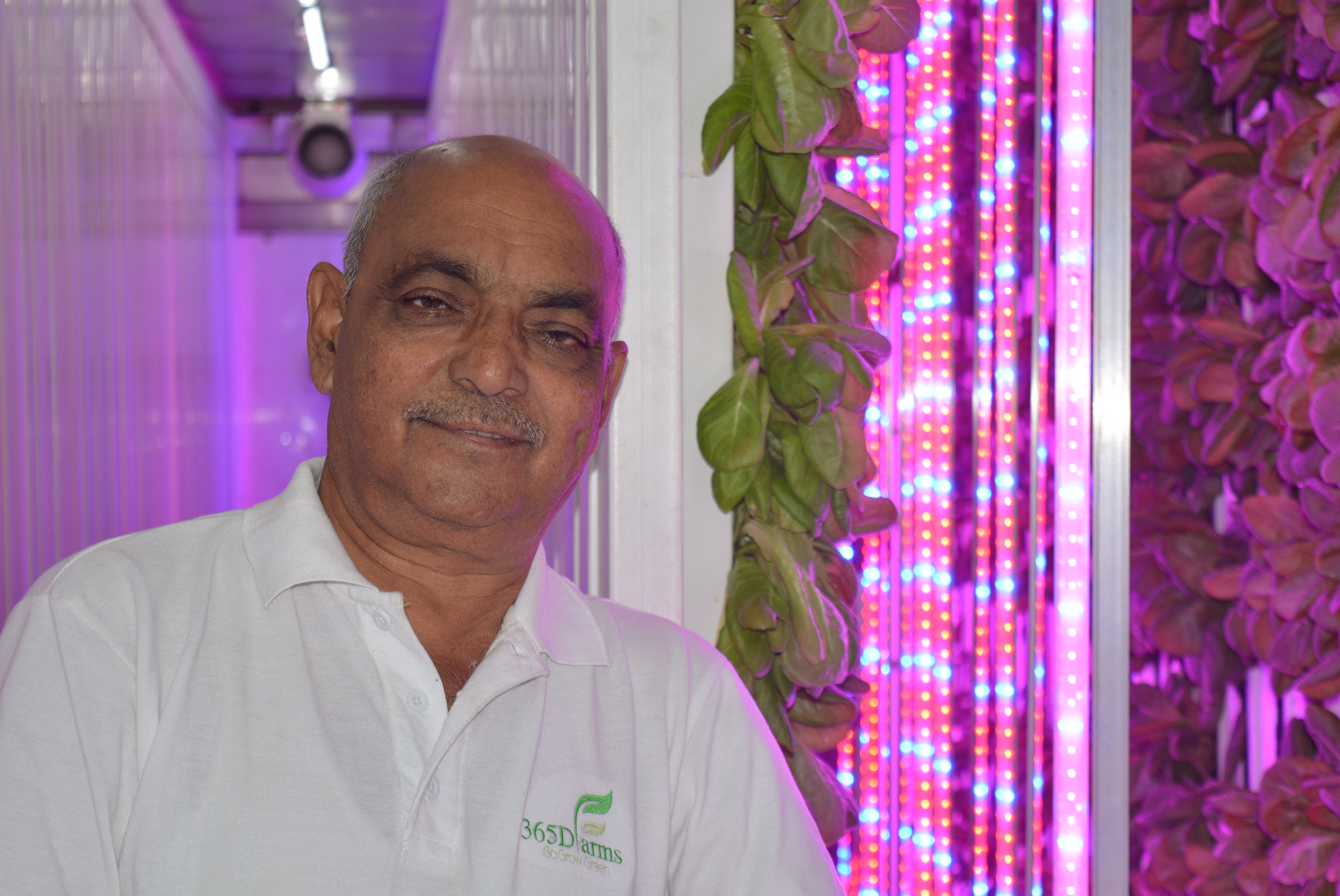 Gallery – 365Dfarms